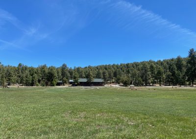 General Info | Mingus Mountain